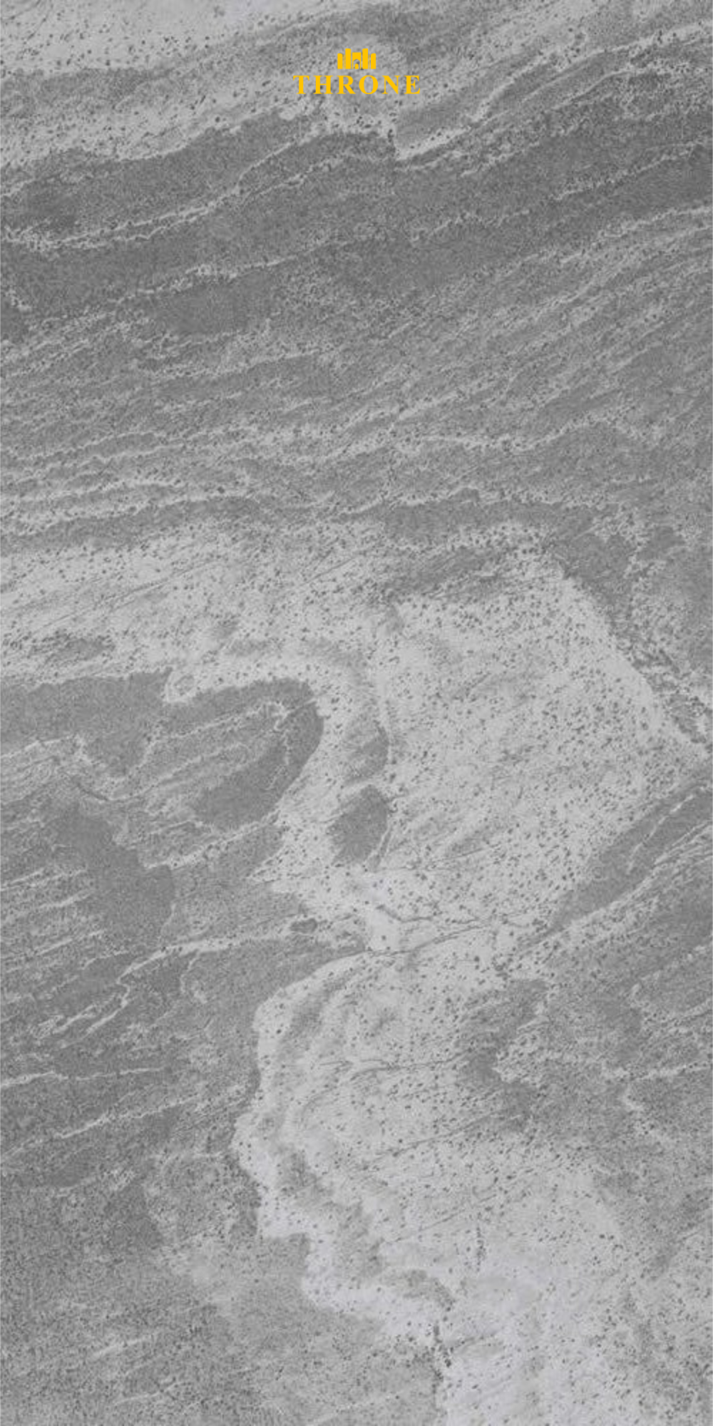 NG Kutahya - Stella Grey - 60x120cm - Mat Stonelook - Porseleinen Vloe
